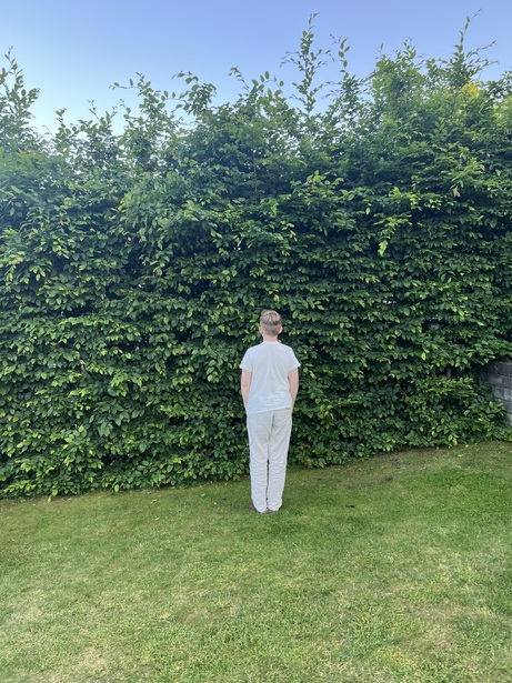 Gallra ut i buskar och klippa ett körsbärsträd i Partille ...