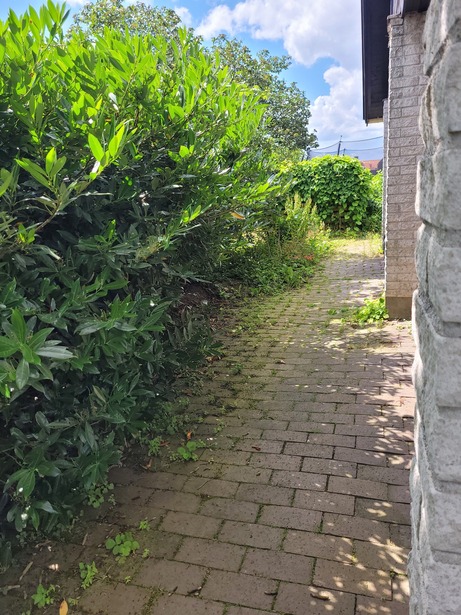 Gräsklippning och rensa en liten rabatt och mellan stenar i Eslöv ...